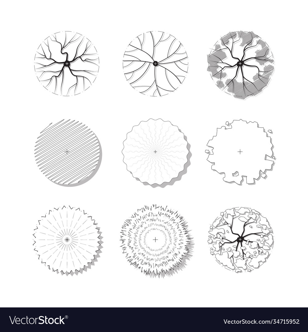 Tree-004 Royalty Free Vector Image - VectorStock