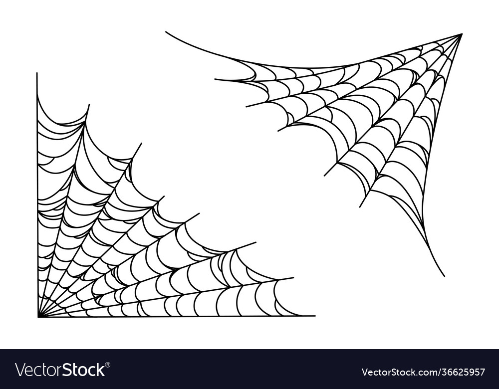 Spider web frame for halloween designs spiderweb Vector Image