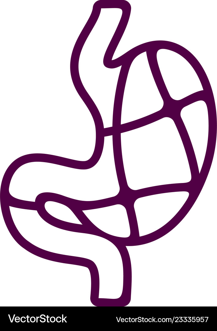 Stomach logo design concept with colorful Vector Image