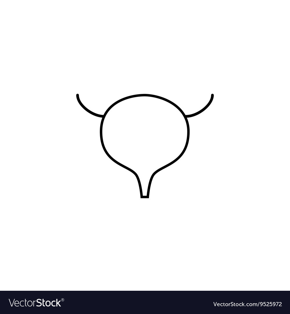 Bladder icon Royalty Free Vector Image - VectorStock