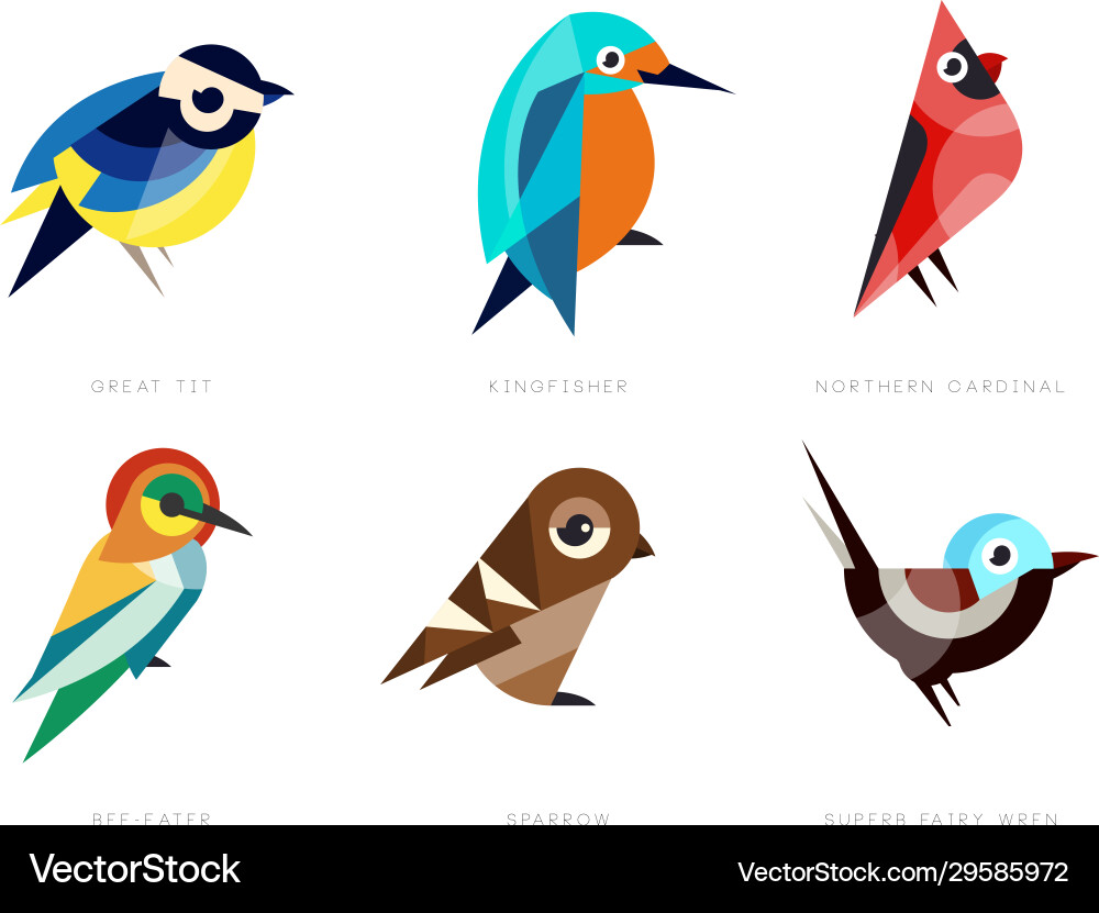Colorful stylized birds collection great tit Vector Image