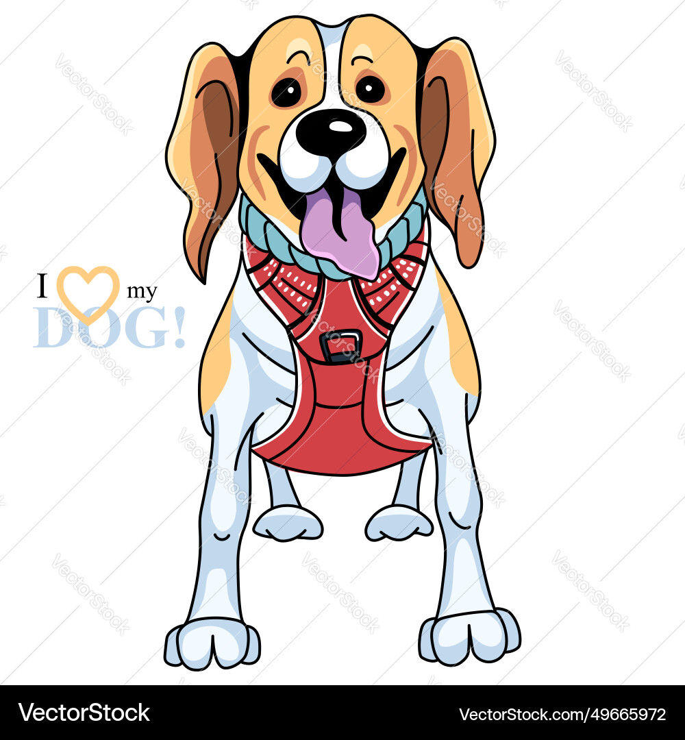 Dog Jack Russell Terrier Breed Royalty Free Vector Image