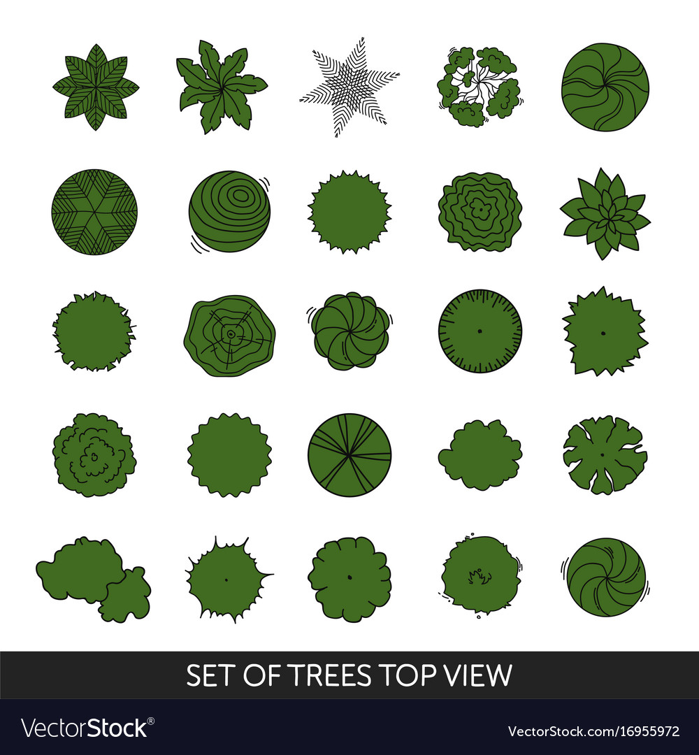 Set trees top view Royalty Free Vector Image - VectorStock
