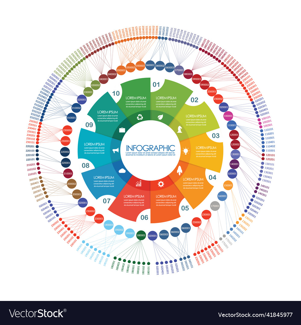 Circle presentation and chart infographic template