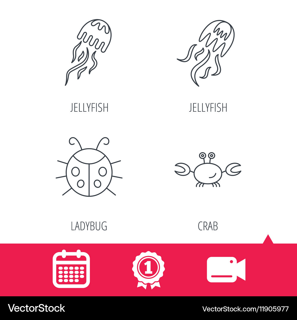 Jellyfish crab and ladybug icons Royalty Free Vector Image