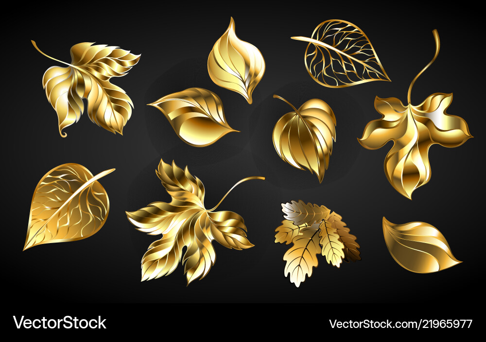 Set of golden leaves Royalty Free Vector Image