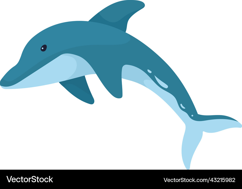 Dolphin sealife animal Royalty Free Vector Image