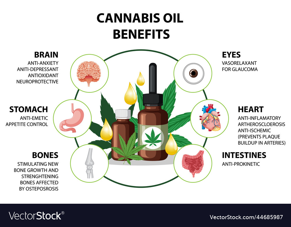 Benefits of cbd for physical health diagram Vector Image Benefits of cbd for physical health diagram Vector Image