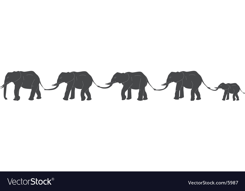 Elephant line Royalty Free Vector Image - VectorStock