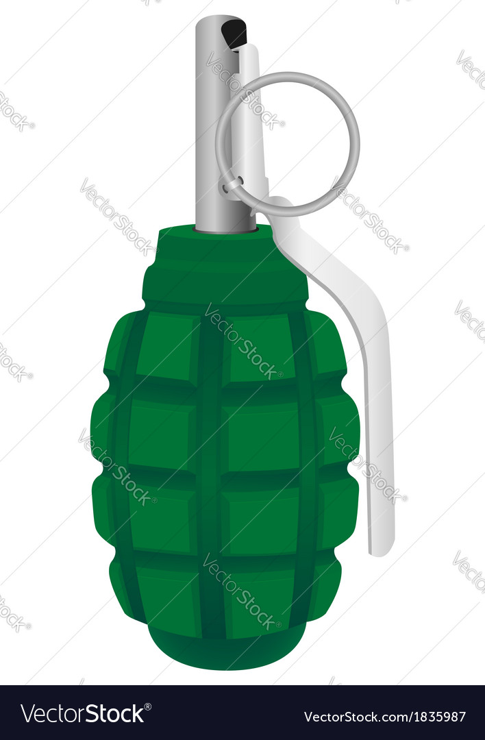 Grenade Royalty Free Vector Image - VectorStock
