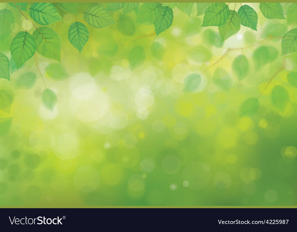 Spring Royalty Free Vector Image - VectorStock