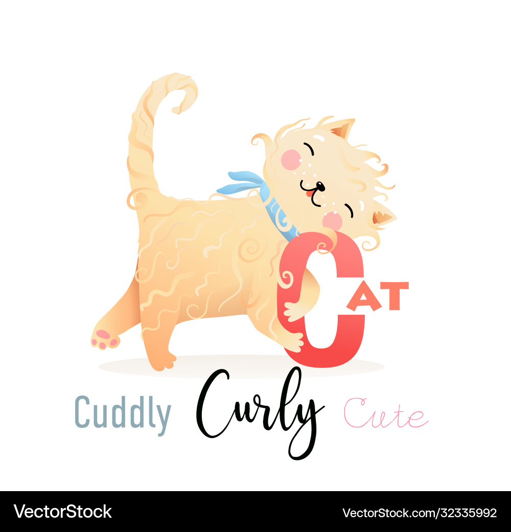 Abc alphabet for kids cat is c Royalty Free Vector Image