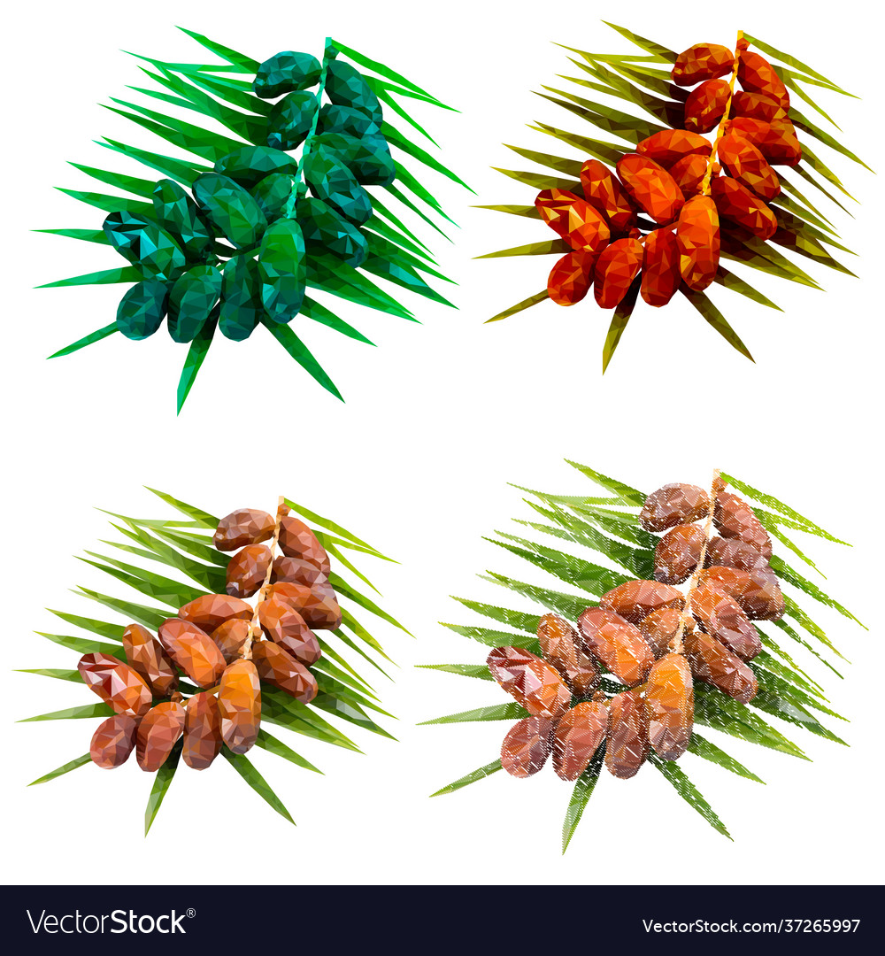 Dates multicolored Royalty Free Vector Image - VectorStock