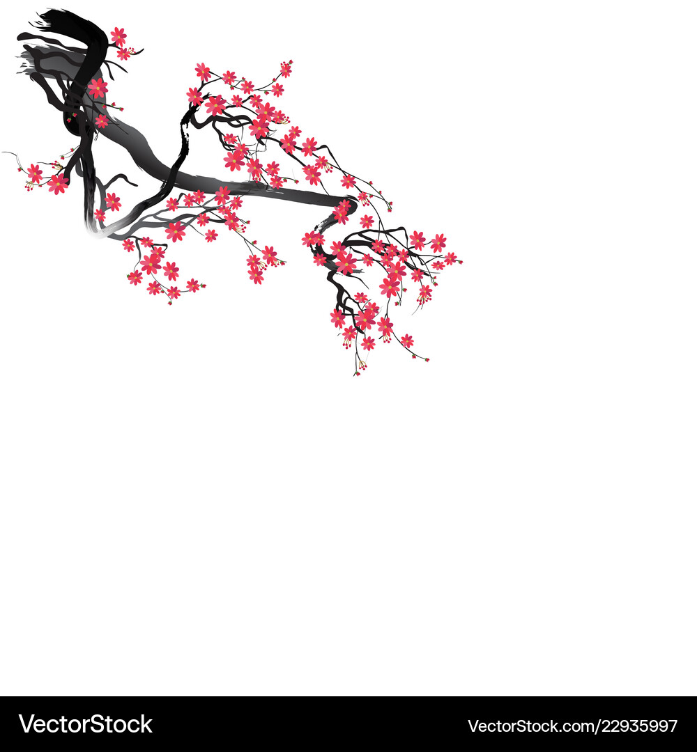 Watercolor sakura frame background with blossom Vector Image