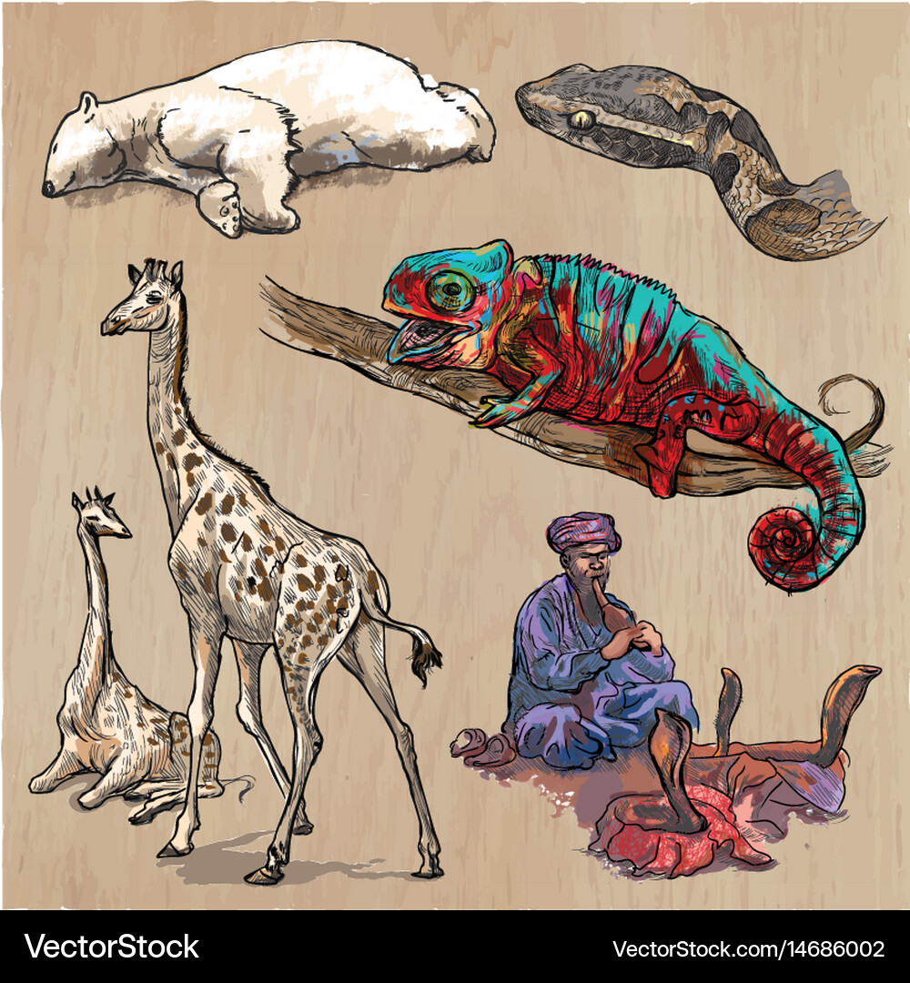 An hand drawn collection pack of animals Vector Image