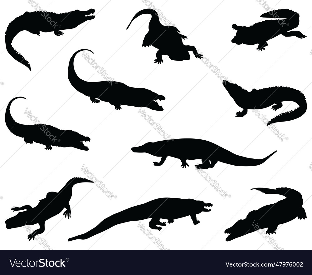 Crocodiles black silhouettes Royalty Free Vector Image