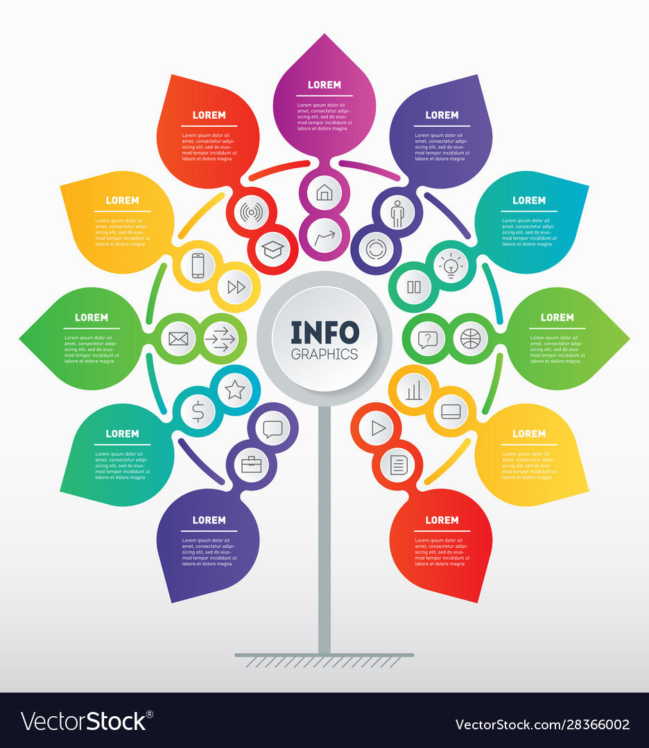 Development Tree Infographic Royalty Free Vector Image