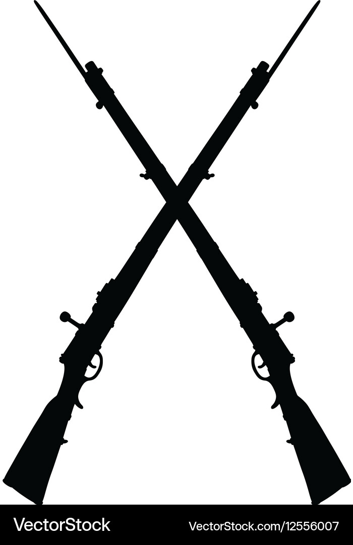 Historical military rifles Royalty Free Vector Image