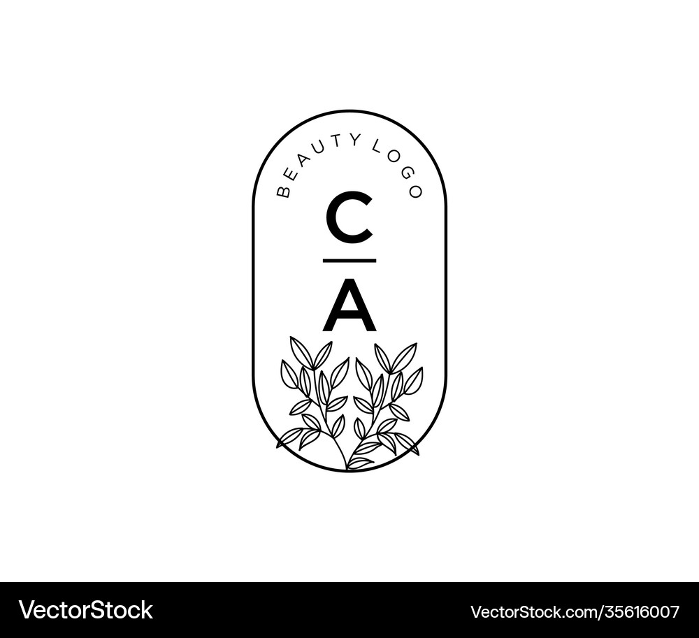 Initial ca letters beautiful floral feminine Vector Image