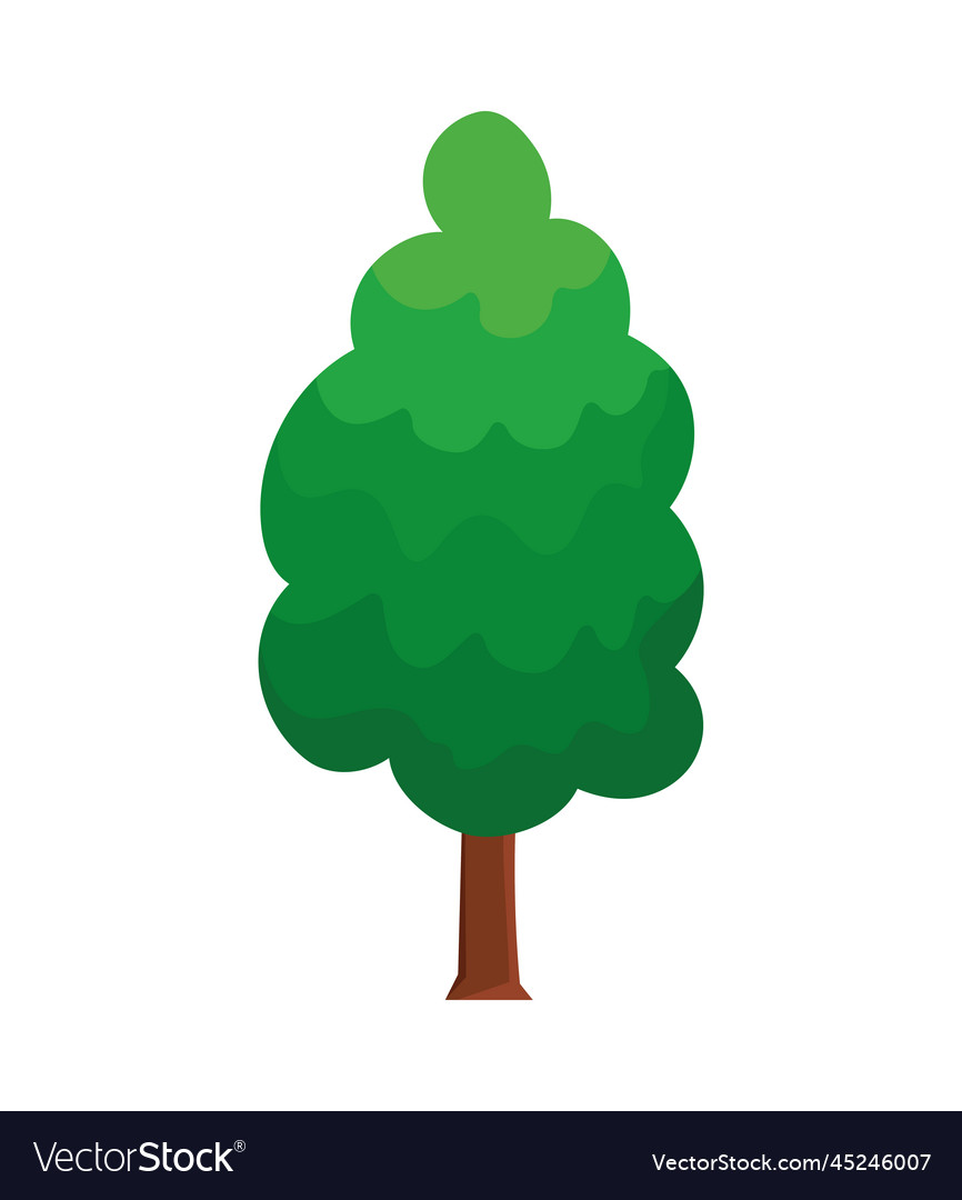 Pine tree plant forest Royalty Free Vector Image