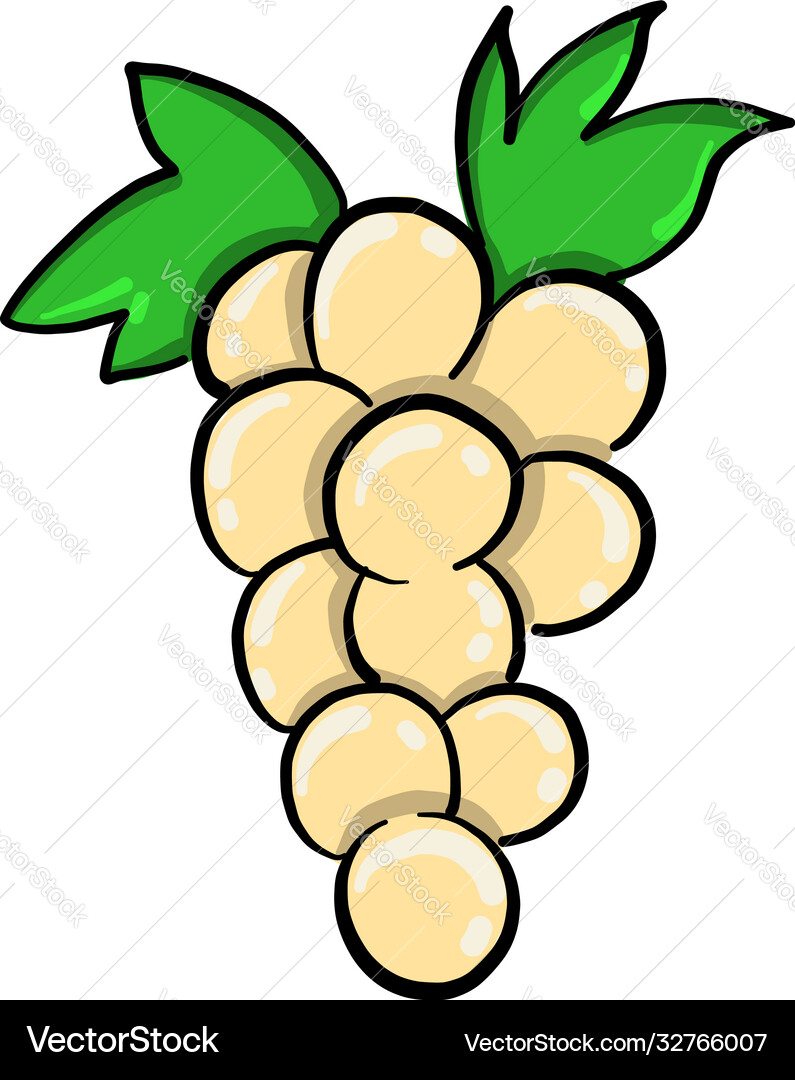 White grapes on background Royalty Free Vector Image