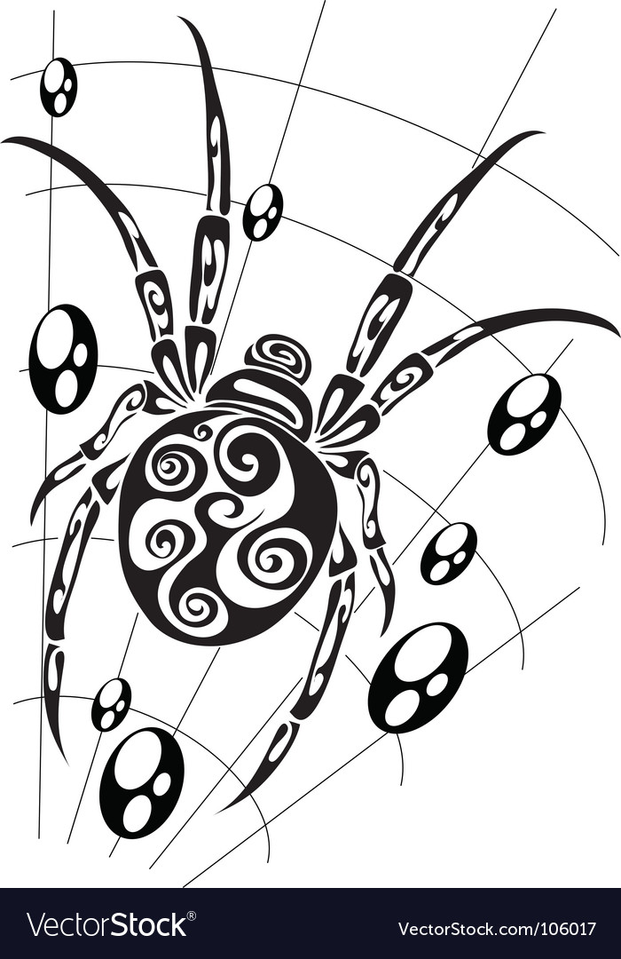 Spider Royalty Free Vector Image - VectorStock