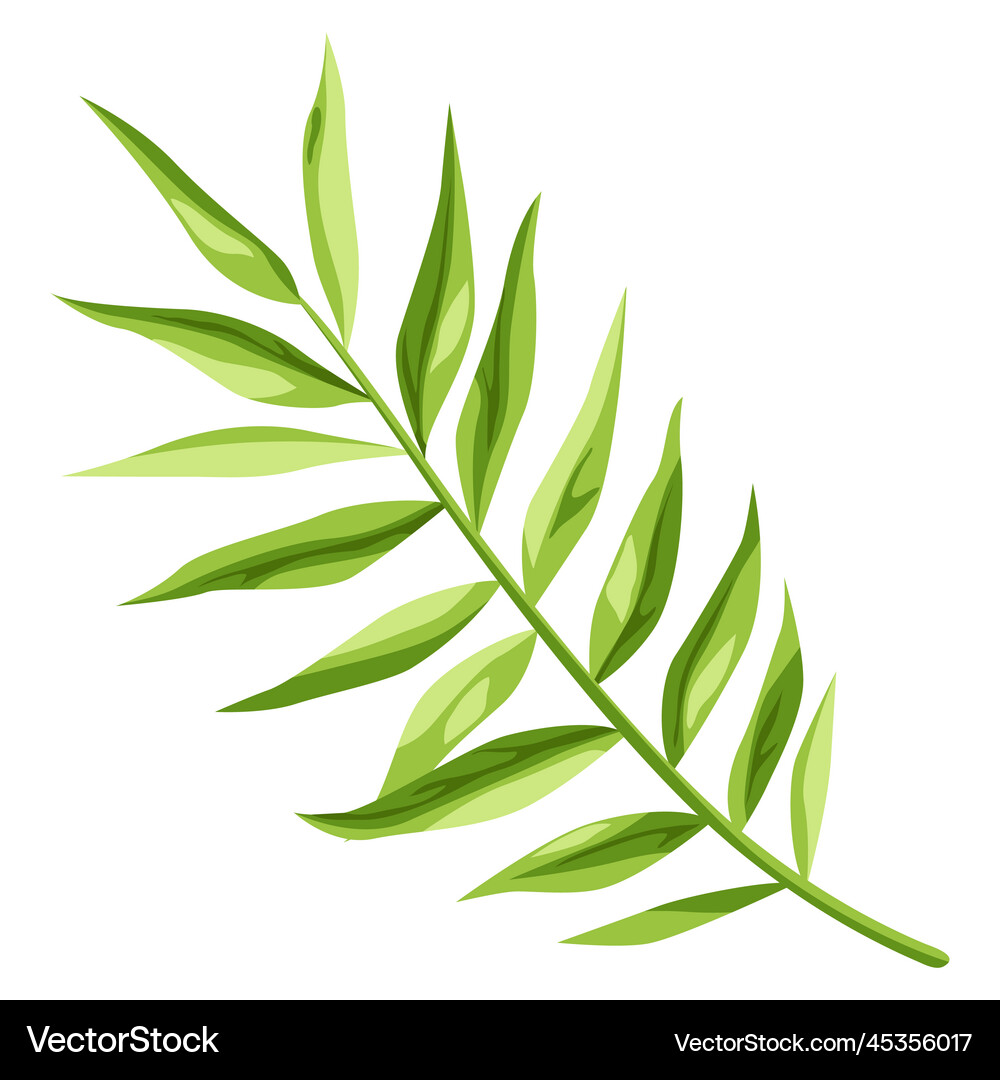 Stylized of palm branch image for Royalty Free Vector Image