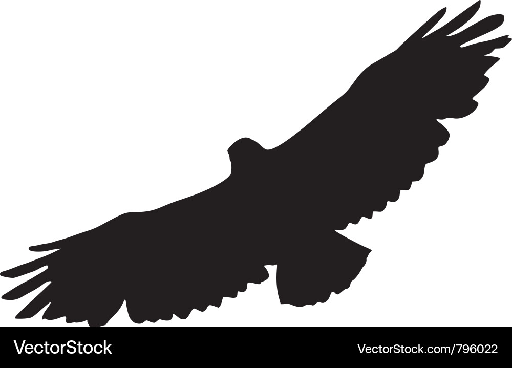 Black silhouette of buzzard Royalty Free Vector Image