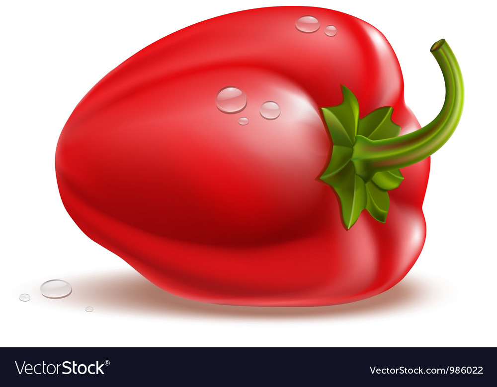 Pepper Royalty Free Vector Image - VectorStock