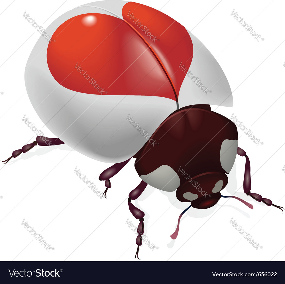 Red heart bug Royalty Free Vector Image - VectorStock