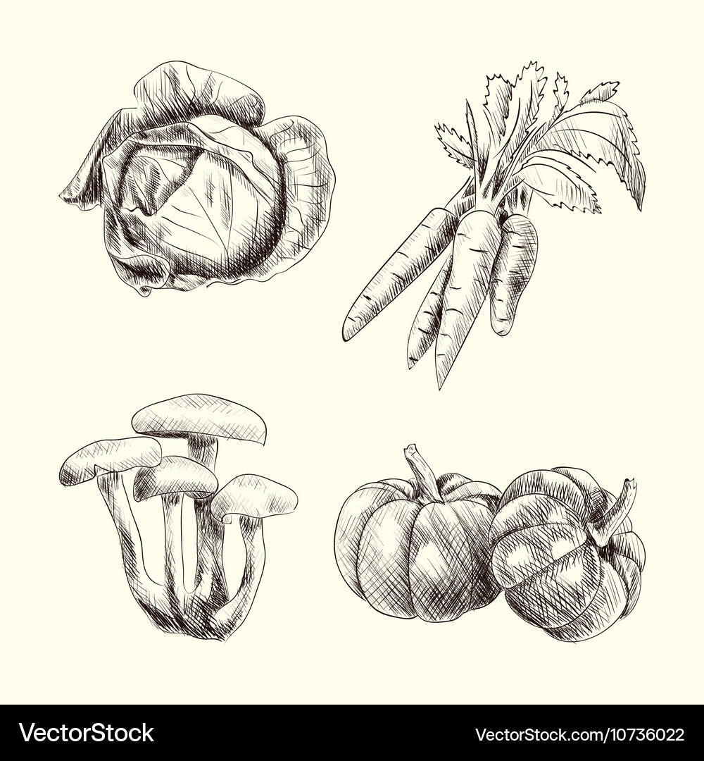 Vegetable set sketch autumn Royalty Free Vector Image