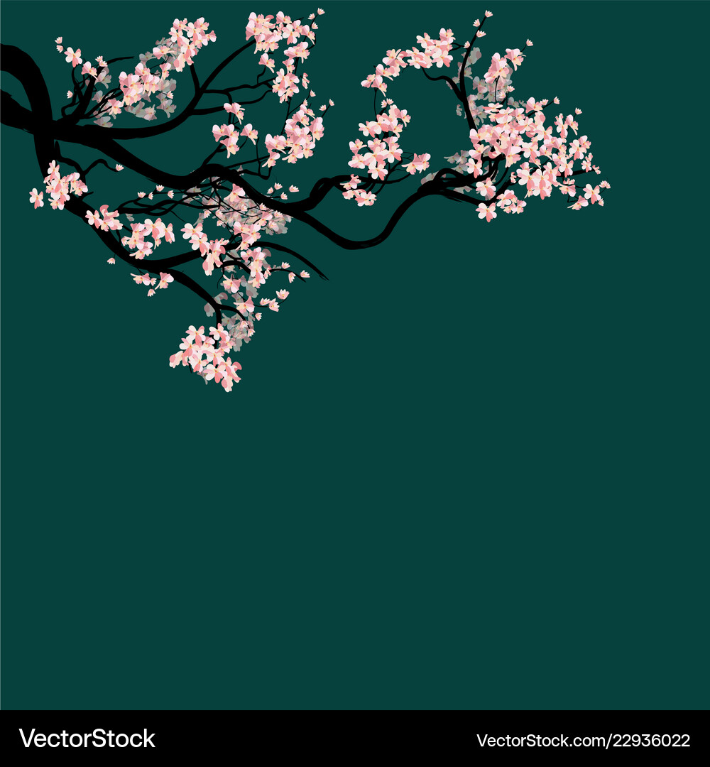 Watercolor sakura frame background with blossom Vector Image