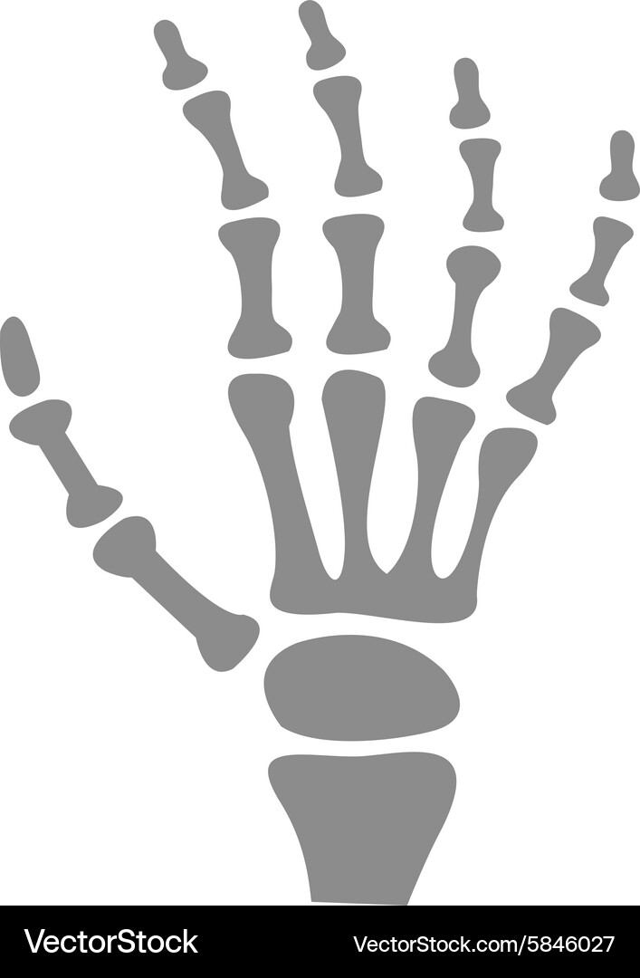 X-ray of hand Royalty Free Vector Image - VectorStock