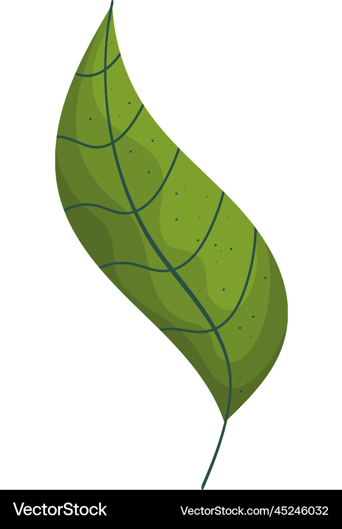 Green leave plant foliage Royalty Free Vector Image