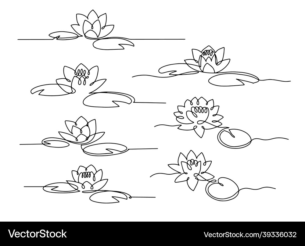Minimalist Water Lily Line Art Royalty Free Vector Image
