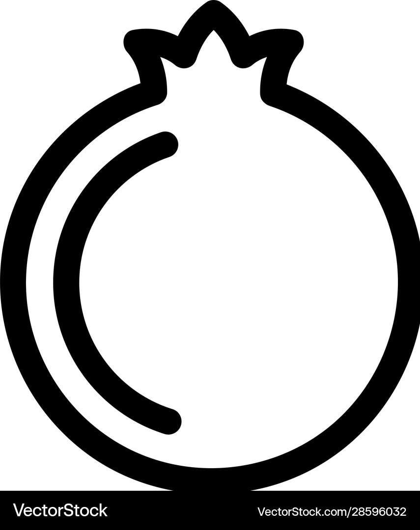 Pomegranate icon isolated contour symbol Vector Image