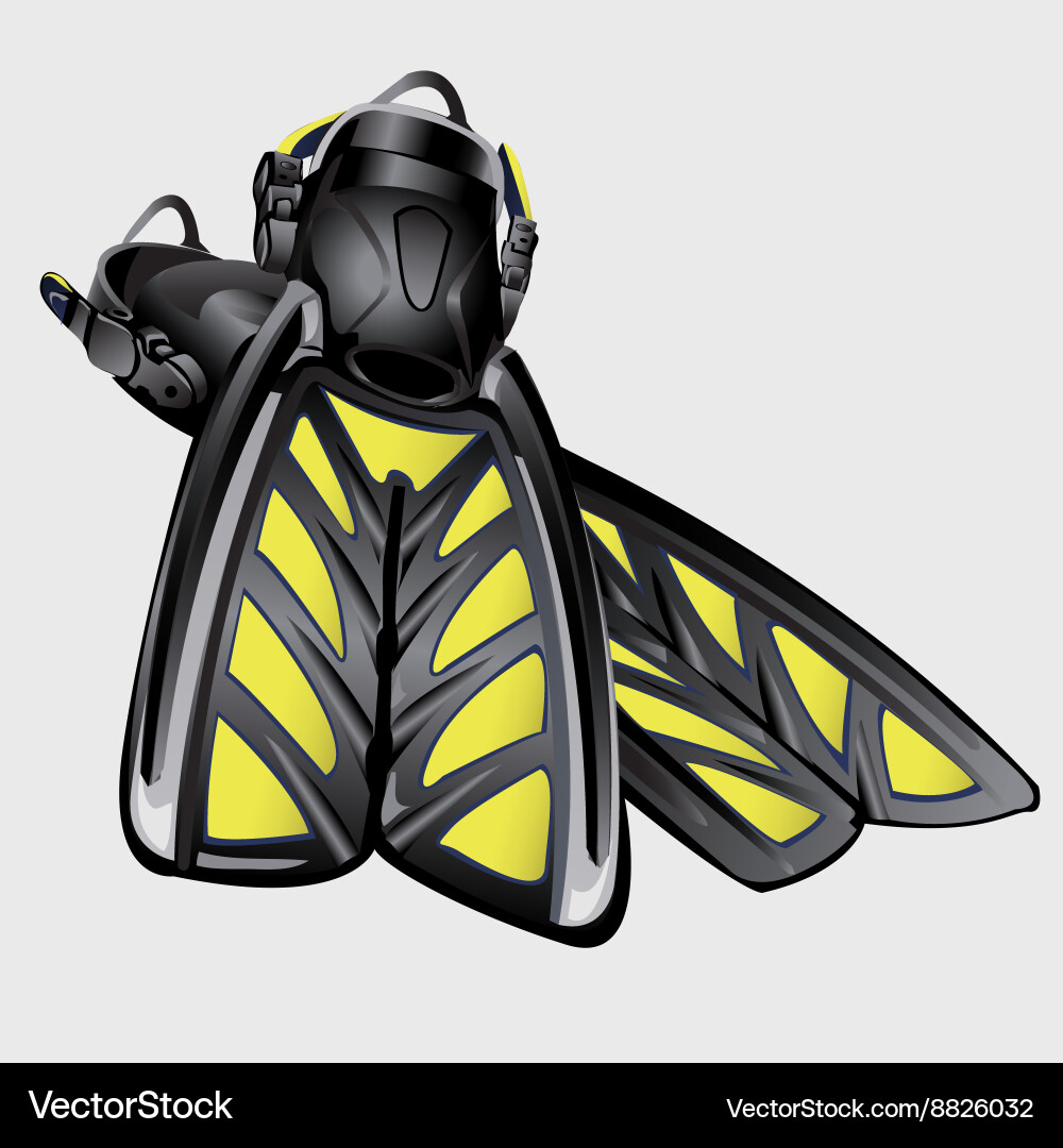 Realistic drawing fins the element diving suit Vector Image