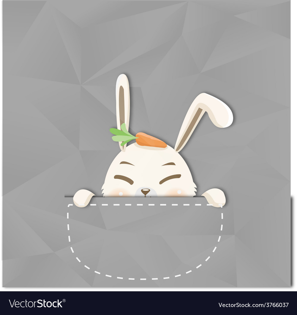 Hide rabbit Royalty Free Vector Image - VectorStock