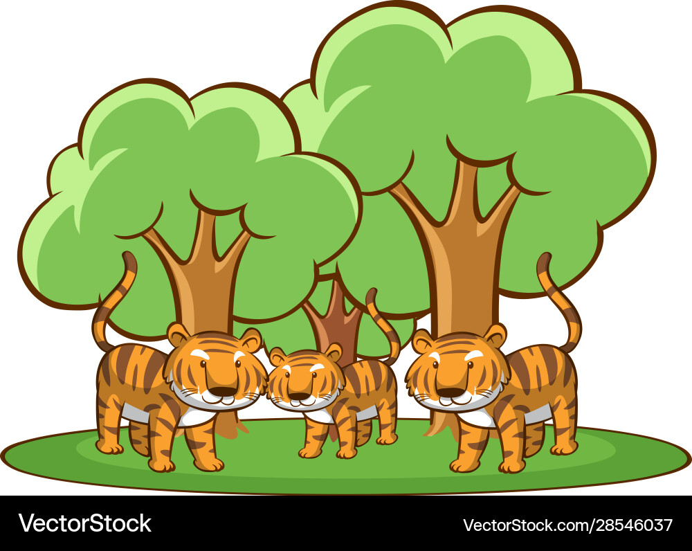 Isolated picture tigers in forest Royalty Free Vector Image