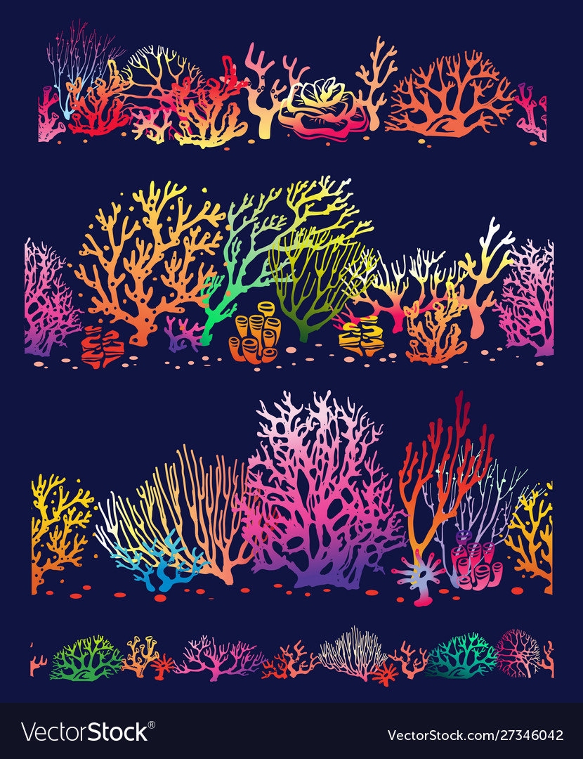 Set color corals borders seamless patterns Vector Image