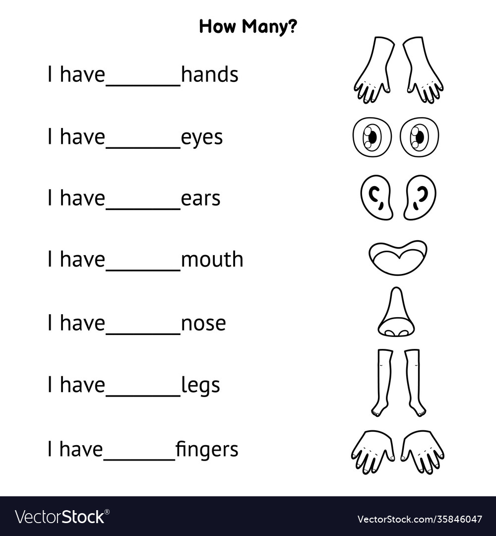 How Many Body Parts Write Correct Answer Vector Image How Many Body Parts Write Correct Answer Vector Image