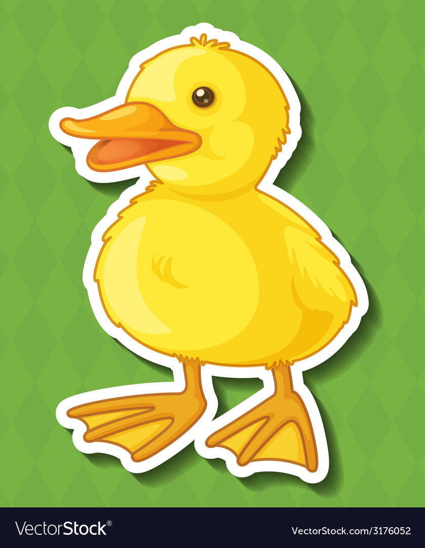 Duck Royalty Free Vector Image - VectorStock