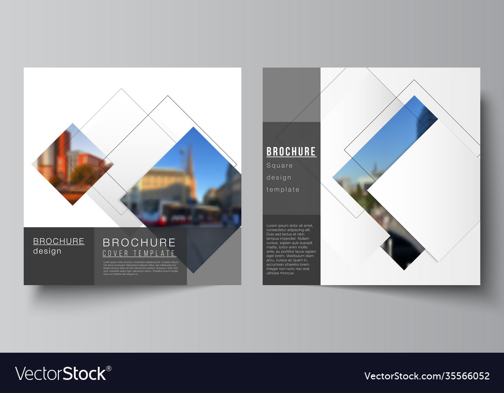 Layout two square format covers design Royalty Free Vector