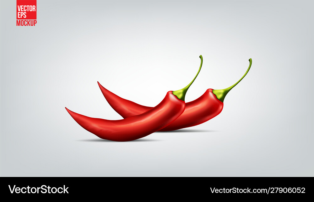 Red chilli Royalty Free Vector Image - VectorStock