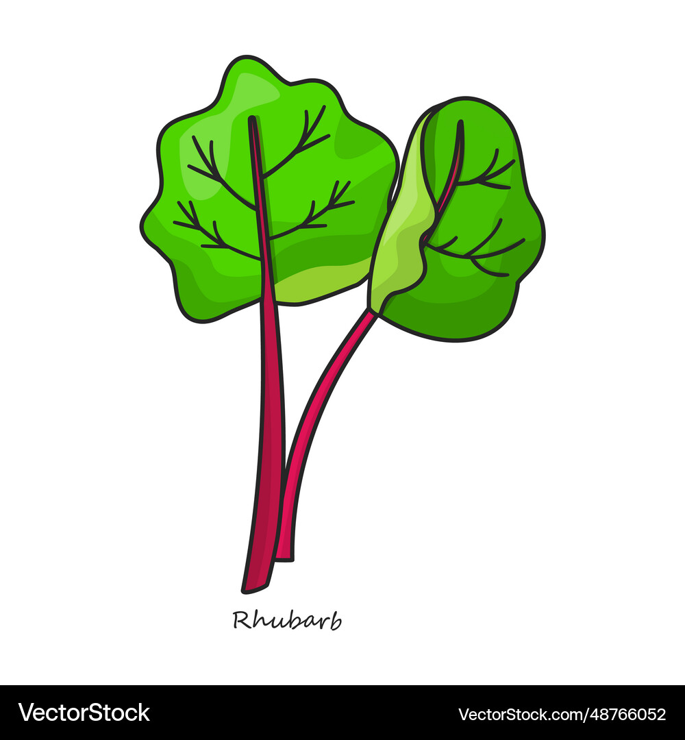 Rhubarb icon color isolated on white Royalty Free Vector
