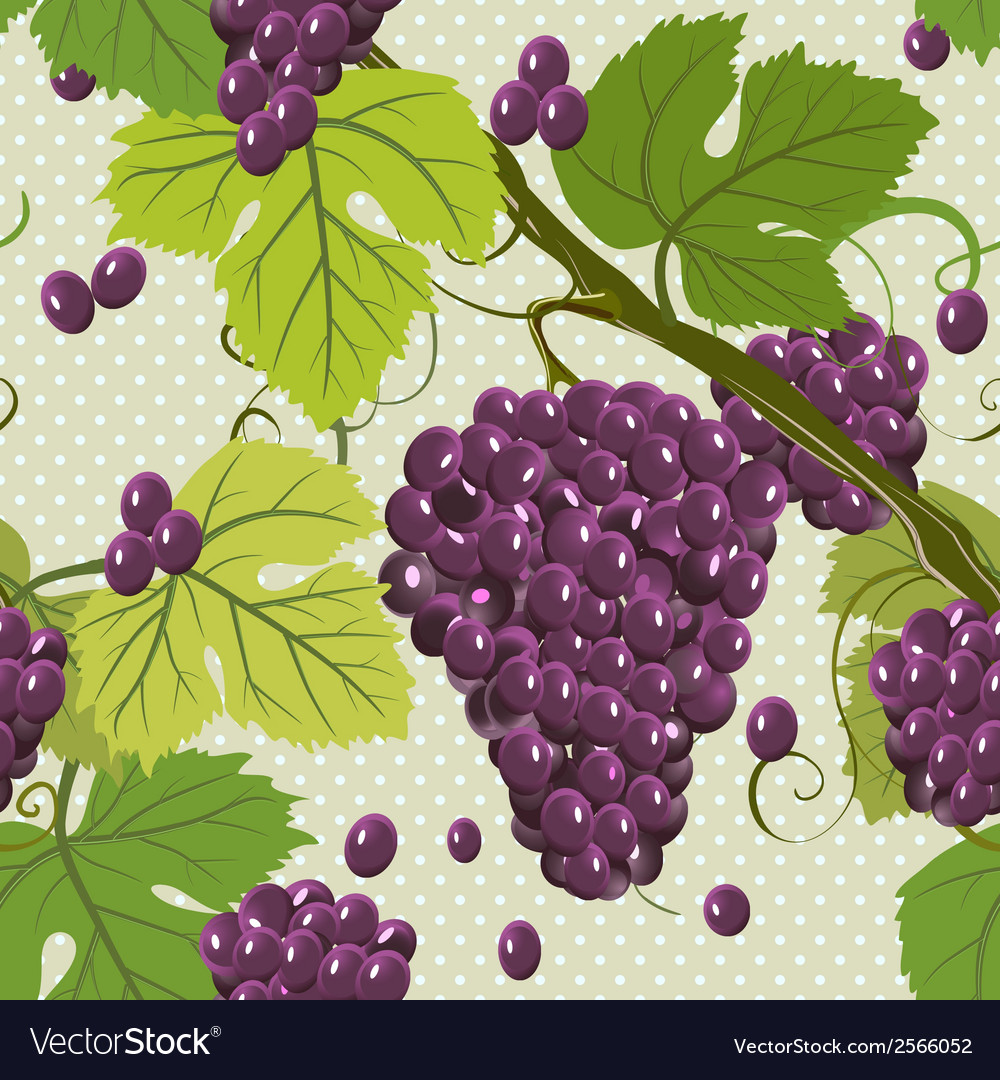 Seamless texture grapes Royalty Free Vector Image