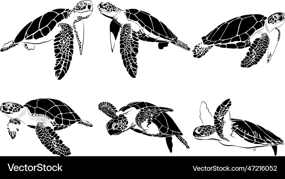 Turtle of design on a white background Royalty Free Vector