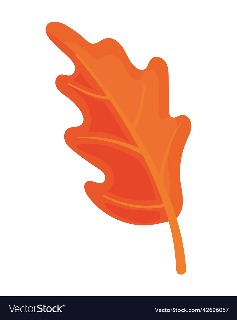 Fall leaf design Royalty Free Vector Image - VectorStock