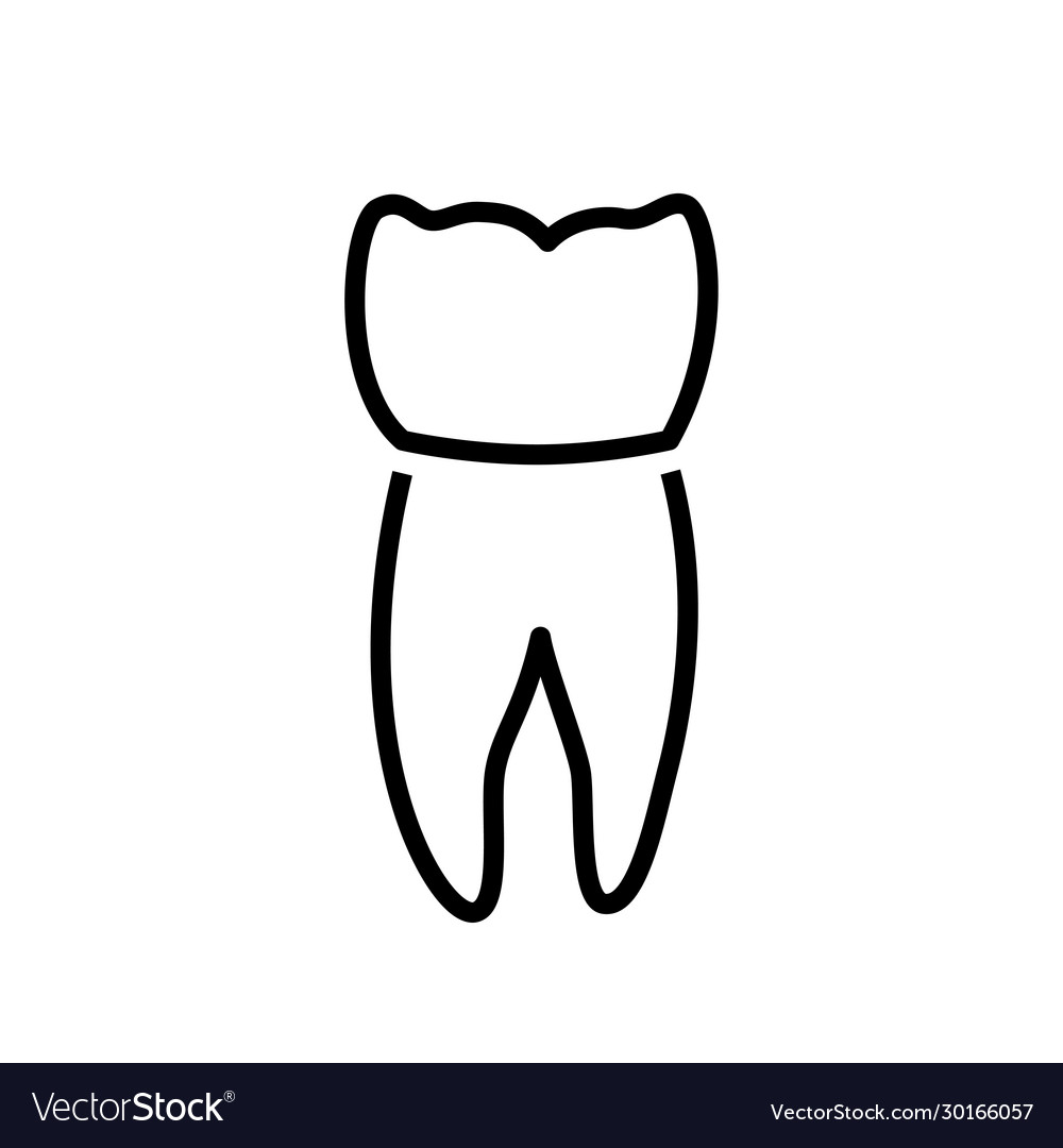 Isolated tooth Royalty Free Vector Image - VectorStock