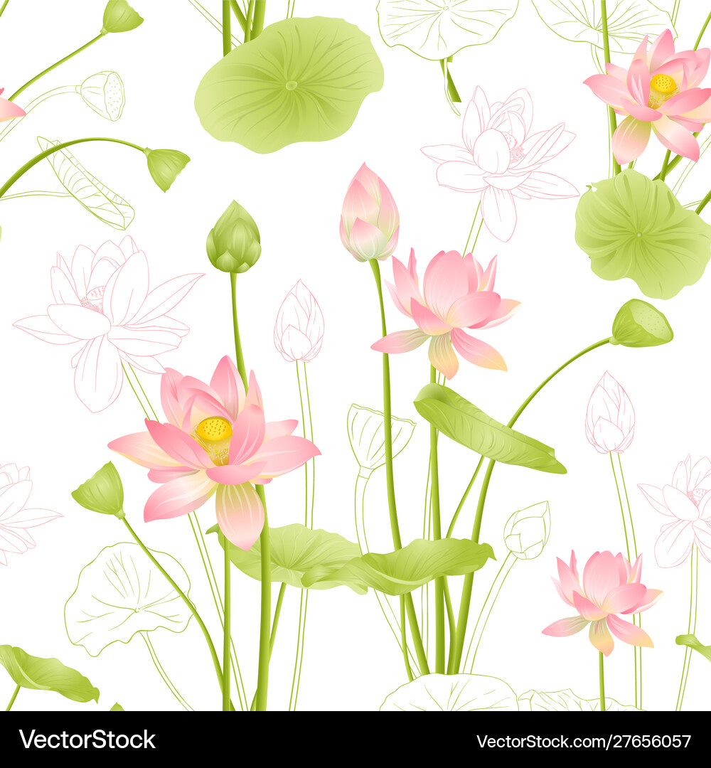 Lotus flowers seamless pattern isolated on white Vector Image